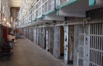 DDD 81: de onde é e dicas para usar esse código de área - CNRT