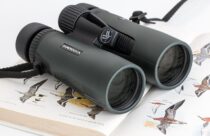 Ddd 86: de onde é e como fazer chamadas com esse código - CNRT